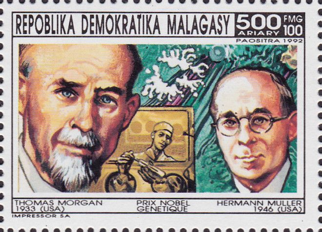 Thomas Hunt Morgan (1866-1945) - Optische Fenomenen